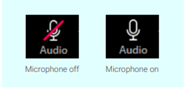 RACGP - Zoom functions you’ll use